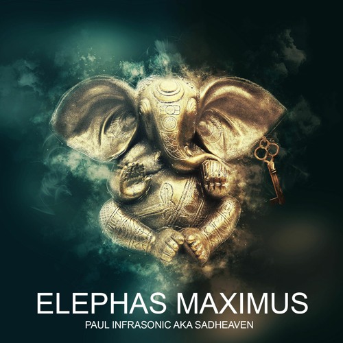 Stream Elephas Maximus (Original Track) by paul infrasonic | Listen ...