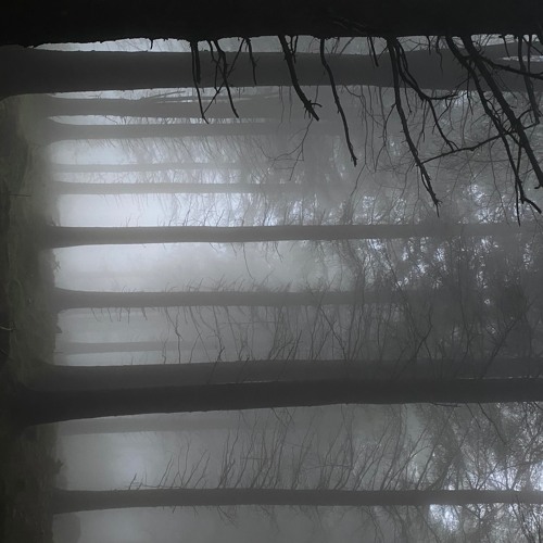 Stream desolate.wav by proderics | Listen online for free on SoundCloud