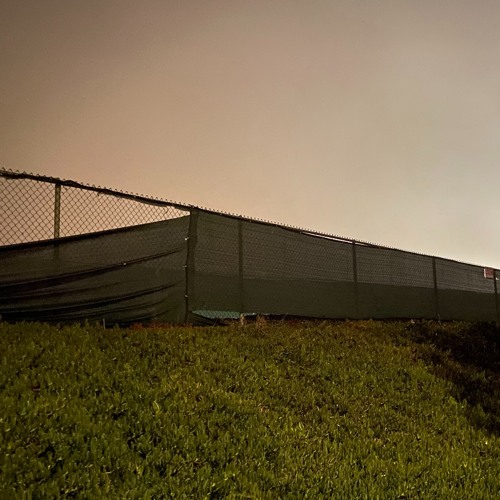 Stream Silian Rail On Bone by Tyler Roland | Listen online for free on ...