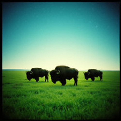 Stream To the Tribes! by demandspacetourism | Listen online for free on ...