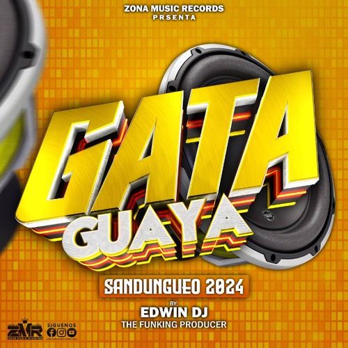 Listen to music albums featuring Gata Guaya Sandungueo 2024 By Edwin Dj ...