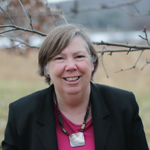 Stream Judith Enck Discusses SUNY Restrictions On Dr. David Carpenter ...