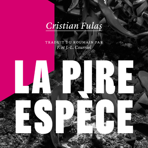 Stream Mylène Bouchard présente le roman La pire espèce by René Cochaux ...