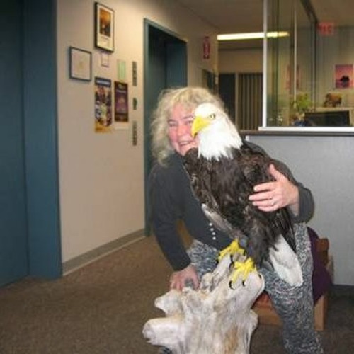 Stream At Wild Cortes: The Cortes water cycle by Cortes Currents (https ...