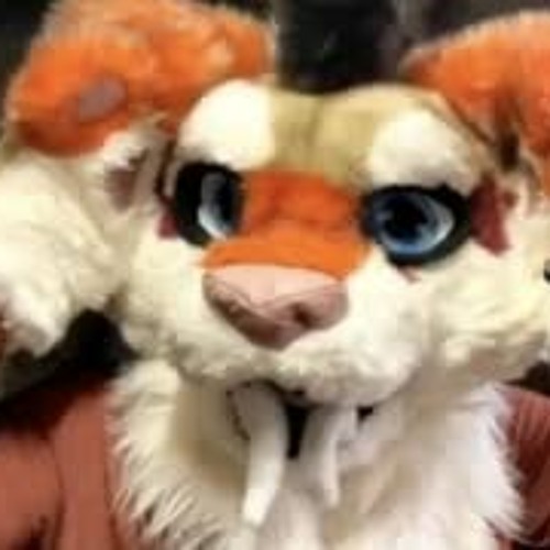 Stream Packgod vs Furry Discord Server by PACK GOD | Listen online for ...