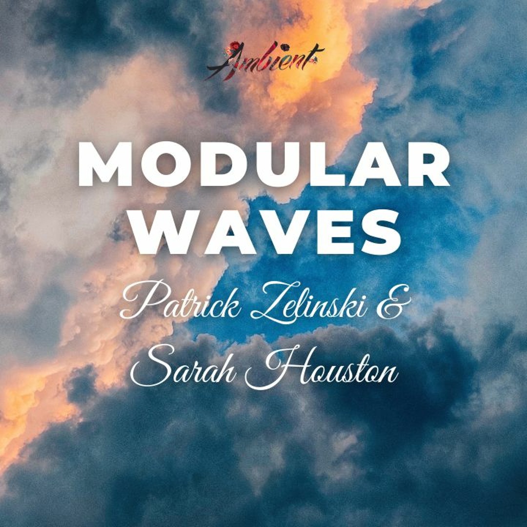 Stream Patrick Zelinski & Sarah Houston - Modular Waves by ...