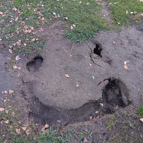 Stream blu | Listen to my fav playlist online for free on SoundCloud