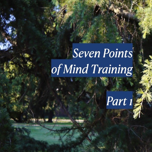 Stream Seven Points of Mind Training, Part 1 by Michael Lobsang Tenpa ...