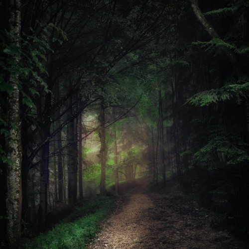 Stream Shadow Road by Mario_guitar | Listen online for free on SoundCloud