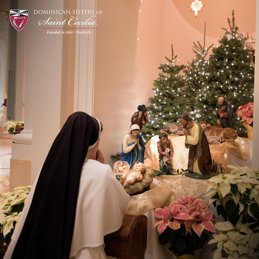 Stream Of The Father's Love Begotten by Nashville Dominicans | Listen ...