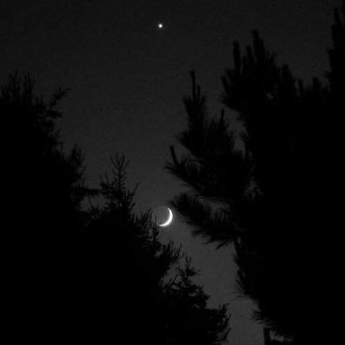 Stream El Oscuro Yo - prod. (thundaa) by Sky Dream | Listen online for ...