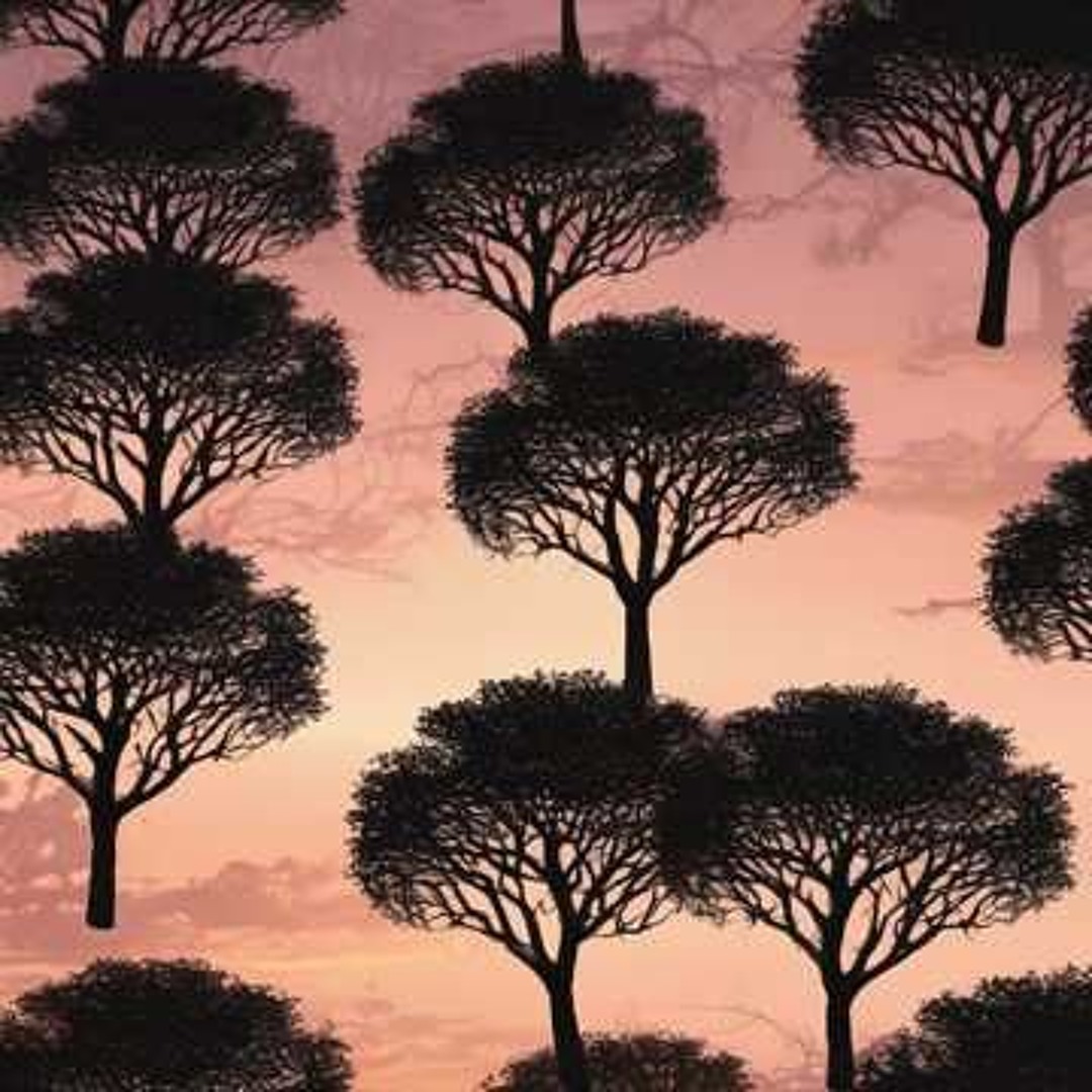 Stream Disenchanted Forest. by-Matthew F. Blowers III by Matthew ...