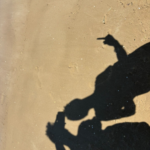 Stream cameron whitcomb - bad apple (pasha acoustic cover) by pasha ...