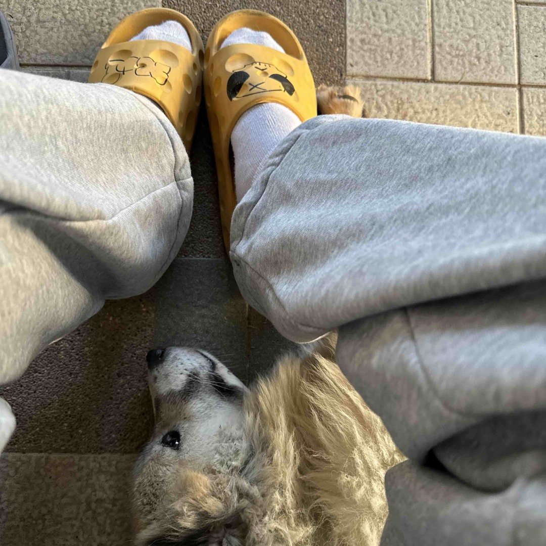 Stream xui - ฮะ ฮะ (Huh Huh?) [COVER] by xui ♱ (xuiey) | Listen online ...