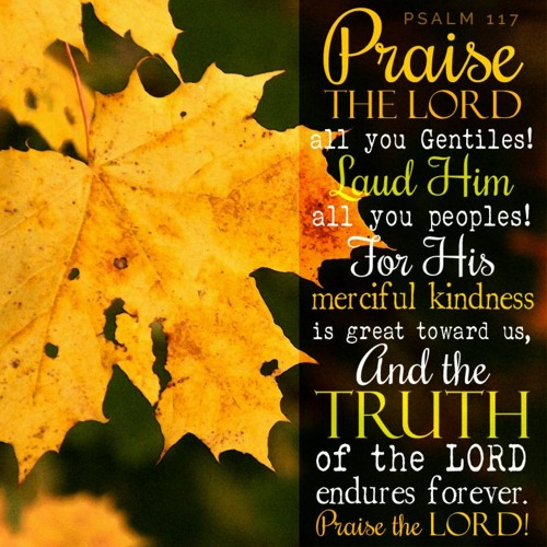 Stream Psalm 117 by Sandra Zaki | Listen online for free on SoundCloud