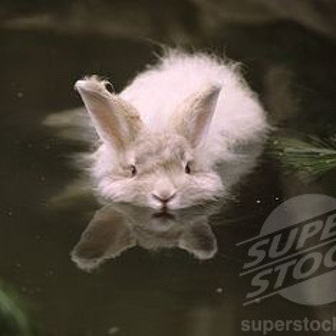 Stream 1oneam - deep end (prod. boolymon) by snakechildpain | Listen ...