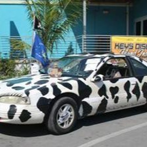 Stream Key West Show - LIVE On August 6- 2023 with Bobbie Meck by Tiki ...