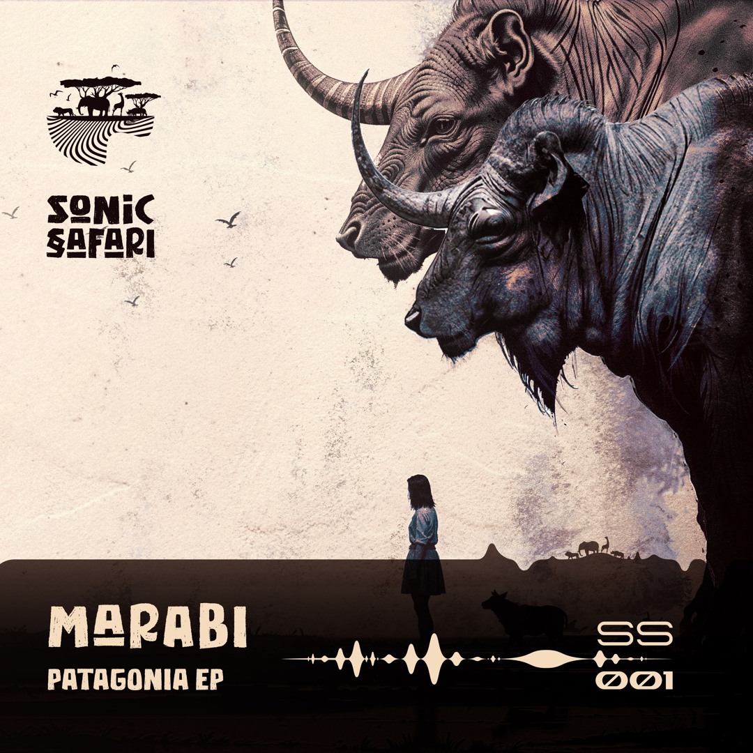 Stream Sonic Safari | Listen to SS001 - Marabi - Patagonia EP - Sonic ...
