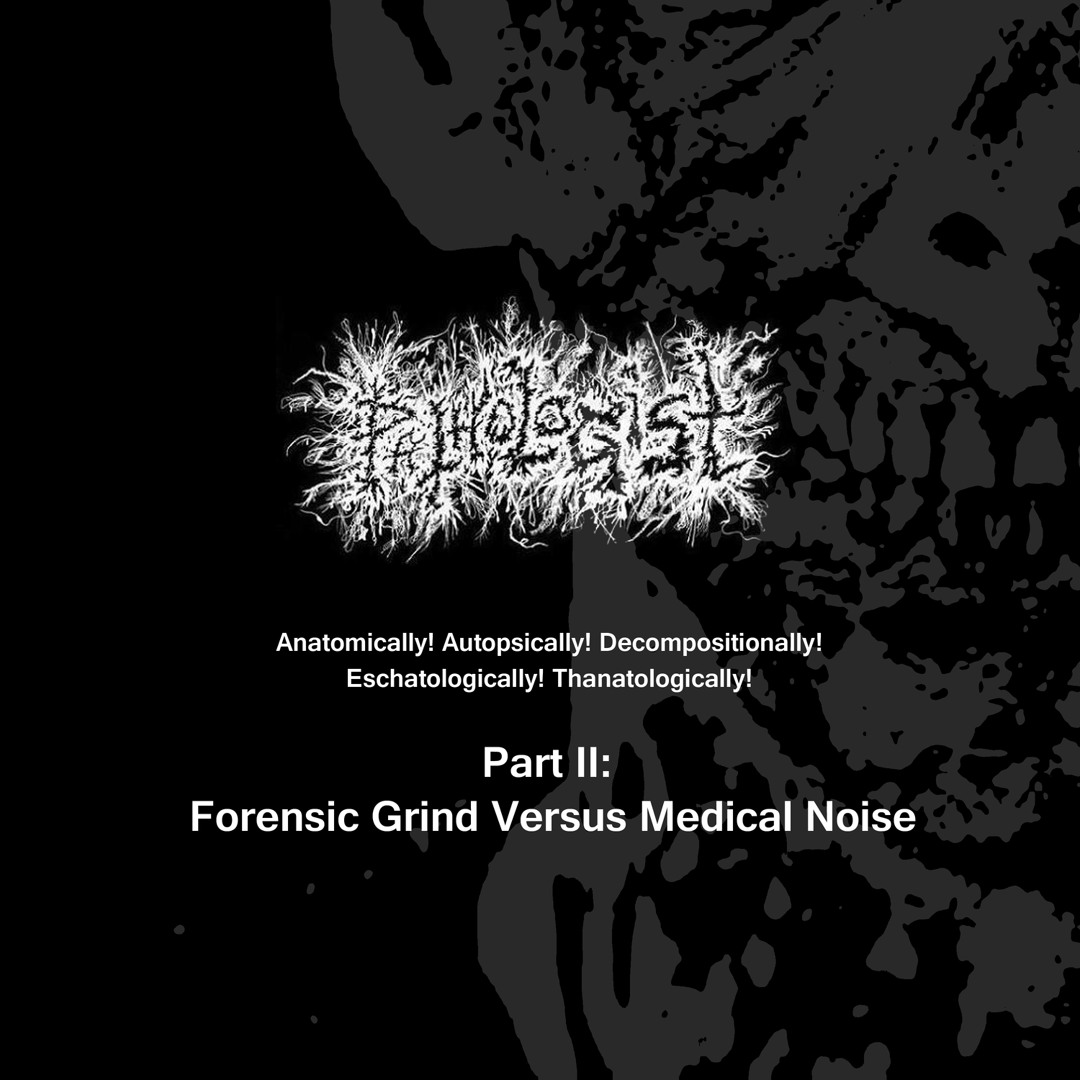 Stream Anatomical Evisceration by Pathologist | Listen online for free ...