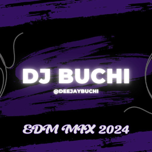 Stream DJ Buchi EDM Mix 2024 by DJ BUCHI | Listen online for free on ...