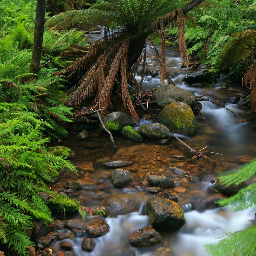 Stream - The Aromatic Biography - Othman Al-Ibrahim.mp3 by Nasheeds by ...