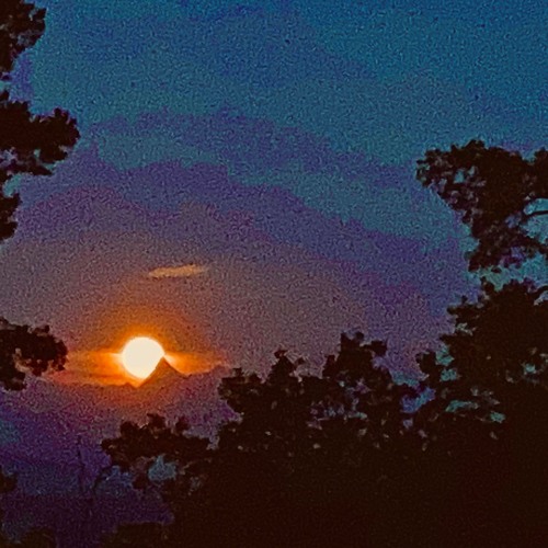 Listen to music albums featuring Martin Bruderer Supermond ...