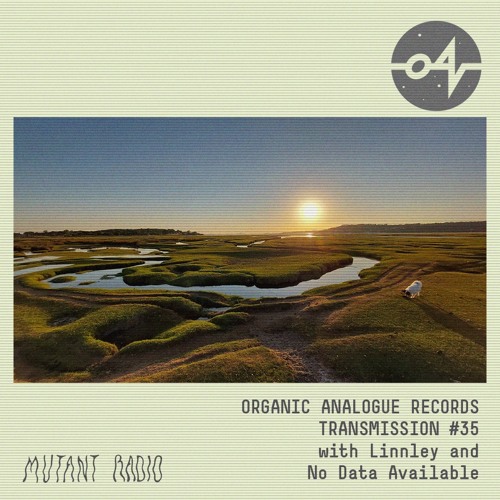 Stream Organic Analogue Transmission 35 With Linnley & No Data ...