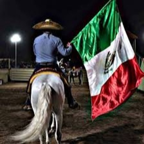 Stream Ana Cazares | Listen to BAILES DEL RANCHO playlist online for ...