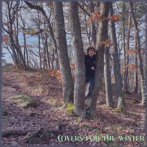 Stream Married Life (cover) by Adam Maghout | Listen online for free on ...