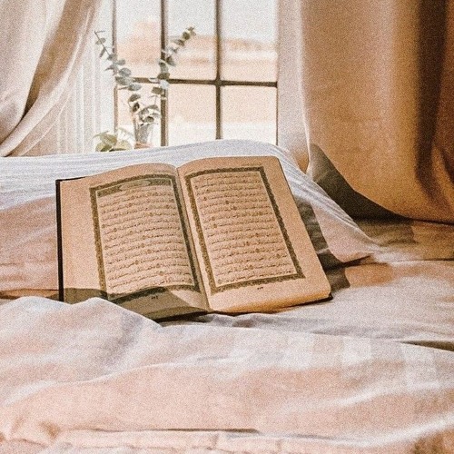 Stream I Rise By Muhammad al Muqit by Summi Shaikh | Listen online for ...