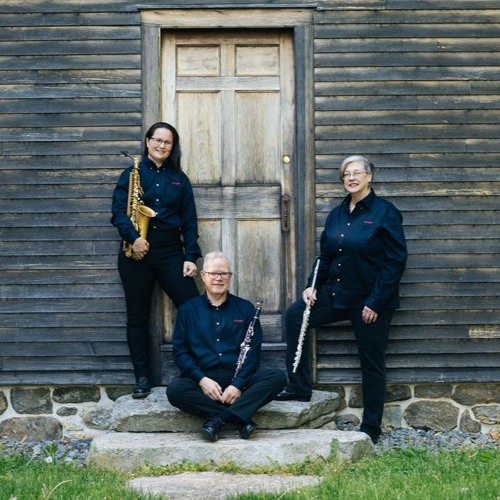 Stream Amy McGlothlin | Listen to Triage MMEA Sound Files playlist ...