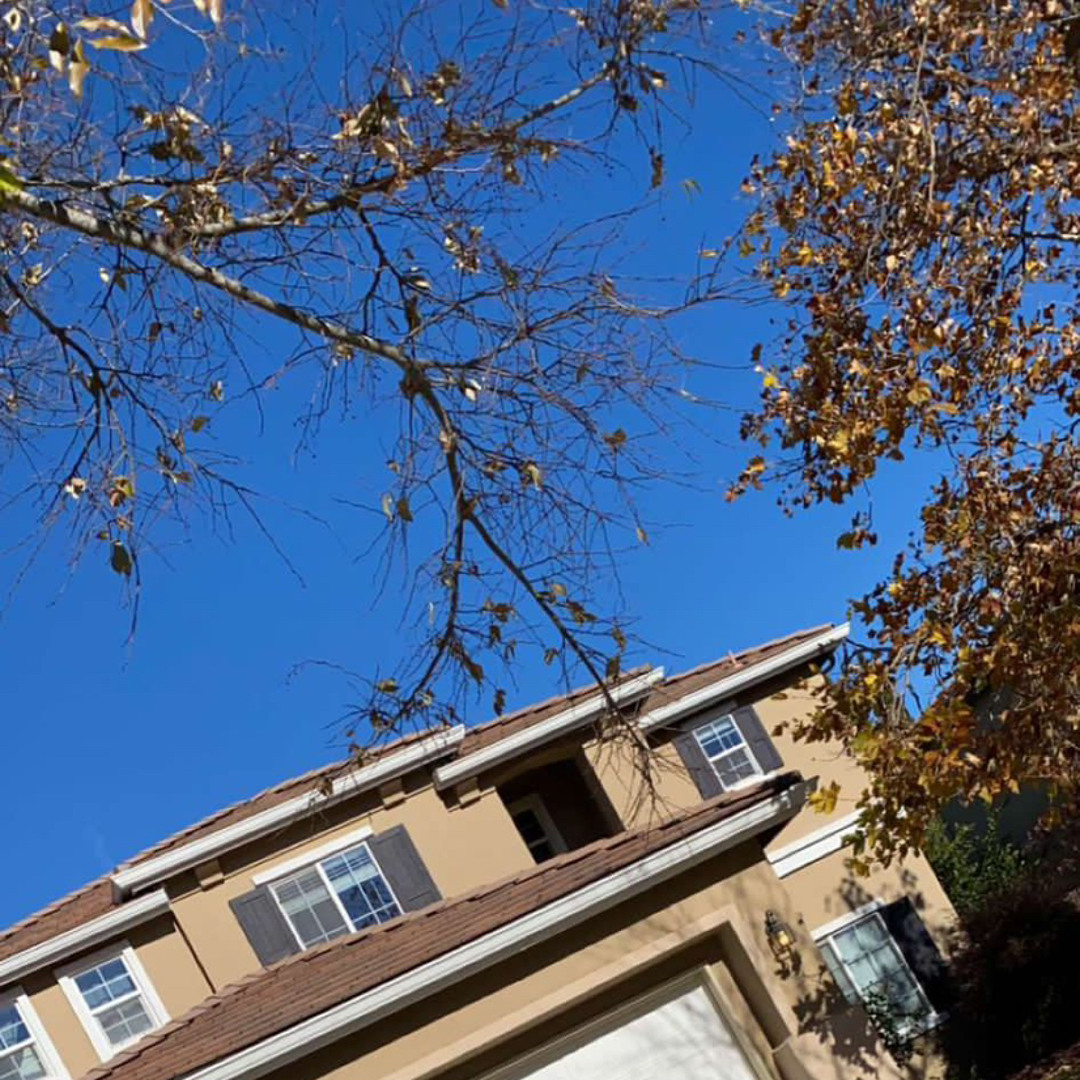 Stream Sara Pind Mittra Da by Lalli Birdi | Listen online for free on ...