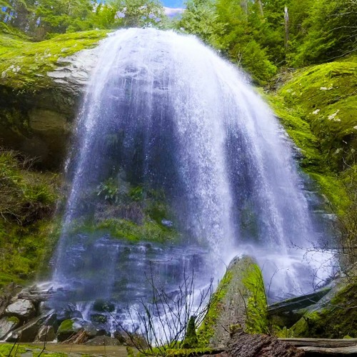 Stream Chill Out by Forest Waterfall (75 Minutes) by Relaxing White ...