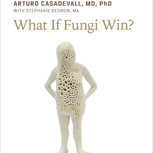 Stream episode Techstination Interview: They are everywhere. And a new ...