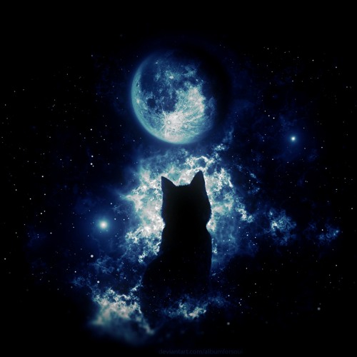 Stream Roman Svirsky - Angels Belong In Heaven by Roman Svirsky ...
