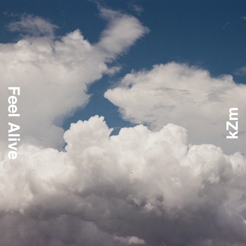 Stream kZm - Feel Alive (Prod. DJ DISK) (DEMO) by YENTOWN | Listen ...