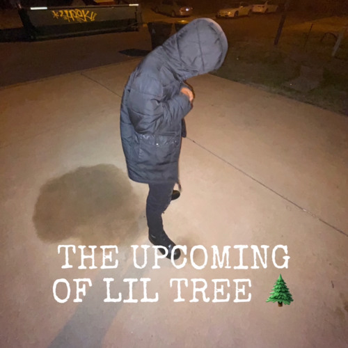 Stream Rocked by Lil Tree | Listen online for free on SoundCloud