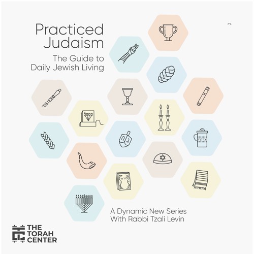 Stream Practiced Judaism - Lesson 1 by The Torah Center ATL | Listen ...