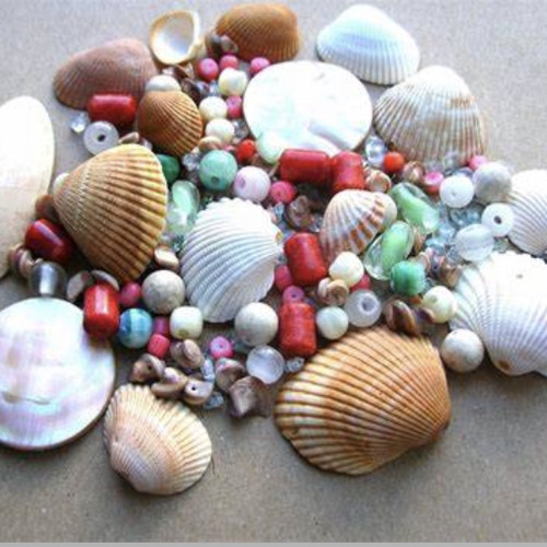 Stream The Sea Shell Hunt - Emma (age 6) by Heidi M. McCarthy | Listen ...