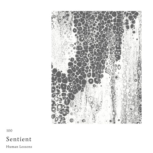 Stream Human Lessons #100 - Sentient by Human Lessons | Listen online ...