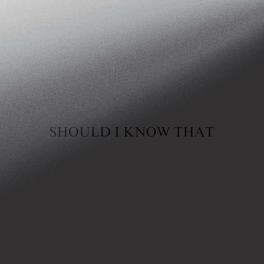 Stream Should I Know That by LORENZO DI TURI | Listen online for free ...