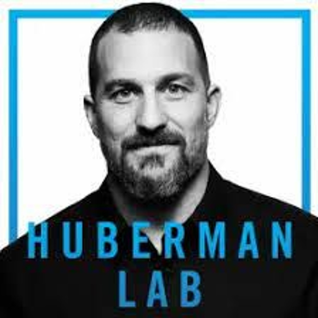 Stream nia | Listen to huberman lab playlist online for free on SoundCloud
