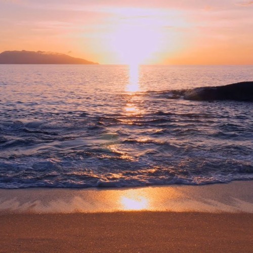 Stream True Colors Piano Cover by Mitch Walters | Listen online for ...