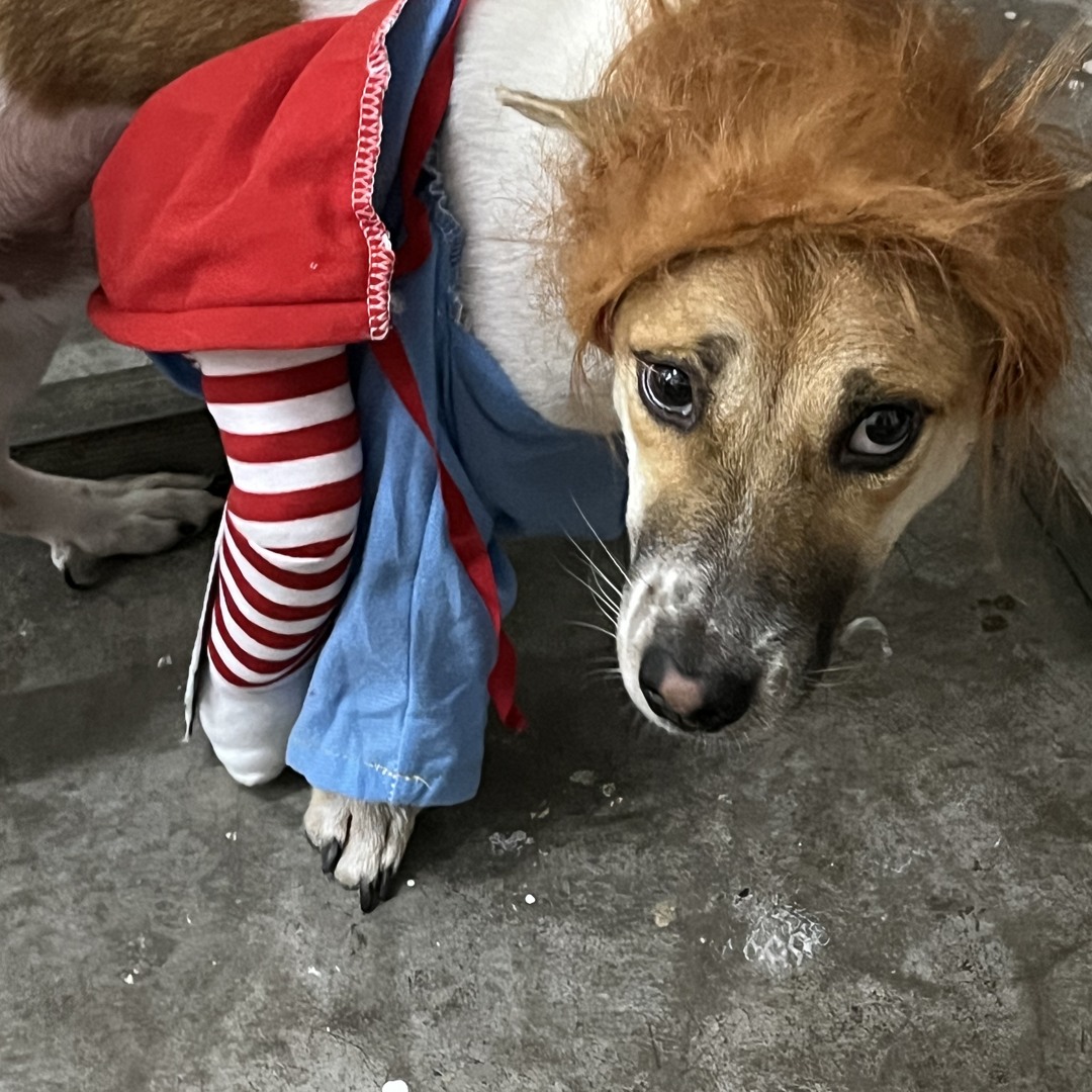 Stream buon mot chut thoi !? | Listen to am nhac chua lanh tam hon ...