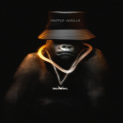 Stream dripped gorilla by ingodra | Listen online for free on SoundCloud