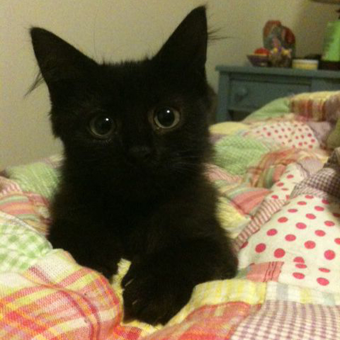 Stream rab (lieu) - 2me by #realgooner | Listen online for free on ...