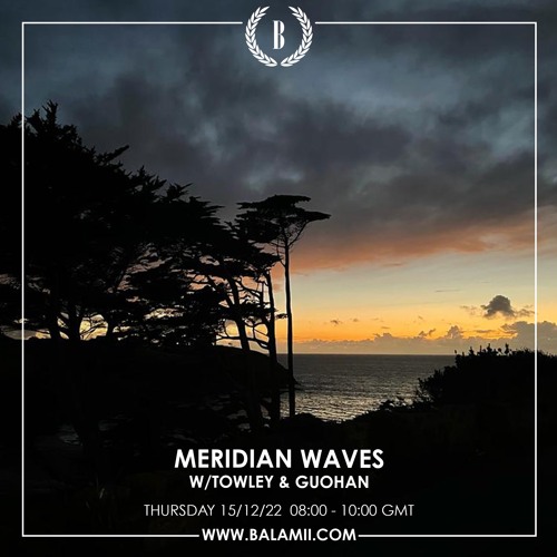 Stream Meridian Waves w/ Towley & Guohan - December 2022 by Balamii | Listen online for free on ...