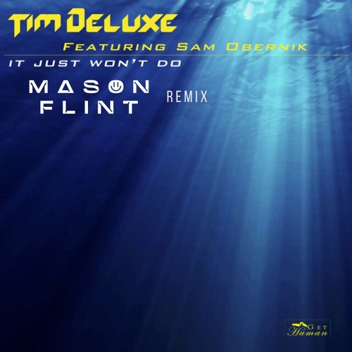 Stream Tim Deluxe [Feat.] Sam Obernik - It Just Won't Do (Mason Flint ...