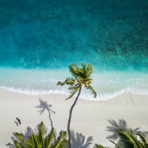 Stream Tropical House & Feel Good House (August 2023) by DJ AVERA ...