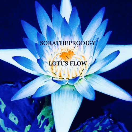 Stream LOTUS FLOW (RUNNER VERS) by SoraTheProdigy | Listen online for ...